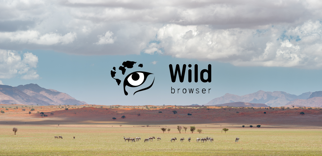 Wild Browser: Financial Update - Wildbrowser